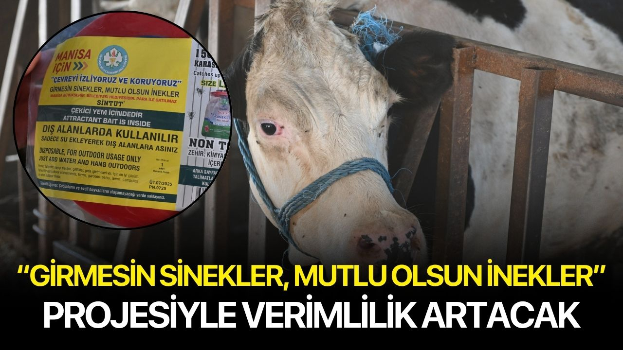 “Girmesin Sinekler, Mutlu Olsun İnekler” Projesiyle Verimlilik Artacak ...